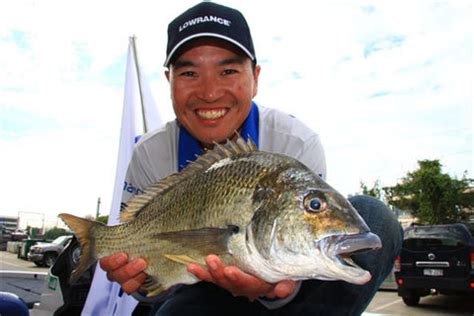 Jackall Chubby 38F Deep and Shallow - Lure Review – fishin.com.au