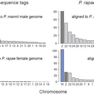 Exploring W Chromosome Similarity Based On The Alignment Of Sequence