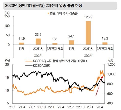 하반기 증시 특정 종목 쏠림현상 주의 지수 조정 시 큰 폭 하락