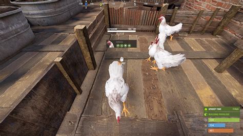 RUST Chicken Husbandry How To Raise Farm Chickens Corrosion Hour