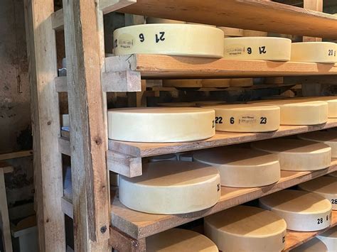 Schweizer Alpkäse Wo Tradition zum Genuss reift