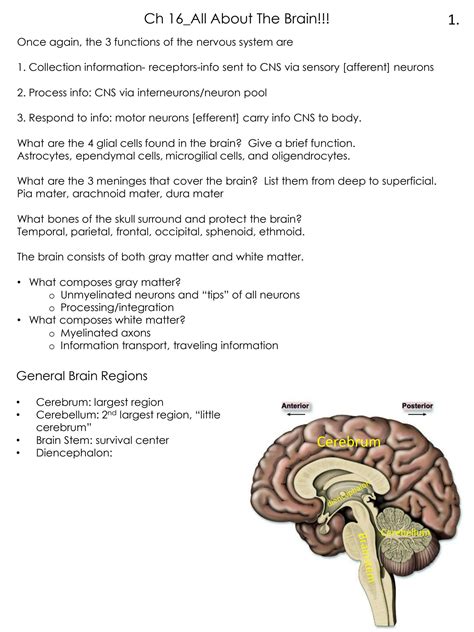 SOLUTION Chapter 16 Lecture Handout Studypool