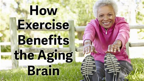 Regular Exercise Stops Aging And Improves Brain Health Hts Therapy