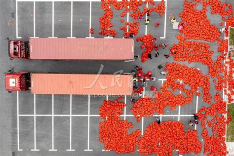 浙江长兴：爱心物资驰援上海 人民图片网