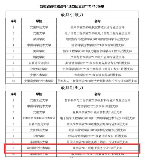 喜报我院一团支部入选安徽省活力团支部最具组织力TOP10榜 商学院 滁州职业技术学院