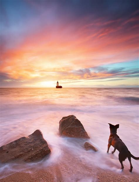 How To Use Adobe Firefly With Photoshop IDevie