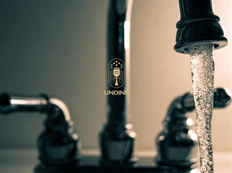 淨水器 水精靈淨水系統 Aqua Win Water Filters [ 什麼是廚下飲水機與加熱器呢]