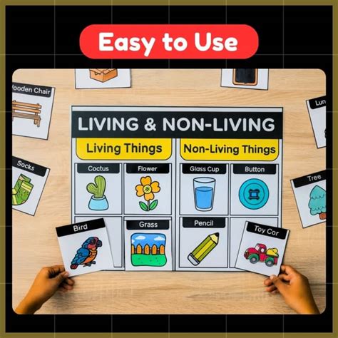 Sorting Objects Into Categories By Attributes Mats Activities