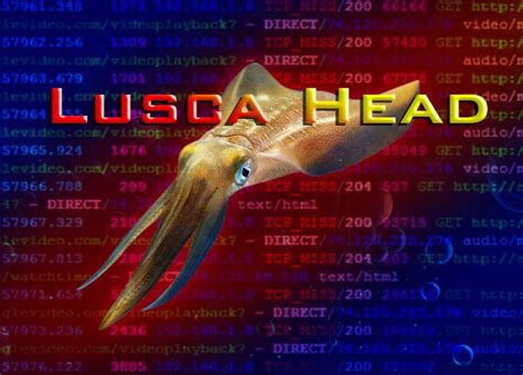 Installing Lusca Head For Proxy On Ubuntu Server Agratitudesign
