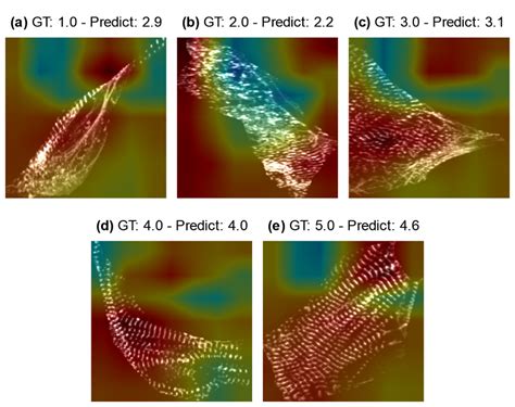 Visualization Of Grad Cam Heatmaps For Different Examples Download