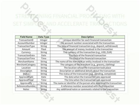 Streamlining Financial Processing With Set Simplify And Accelerate Transactions Excel Template