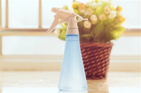 13 Best Eco Friendly Glass Spray Bottles Plastic Free