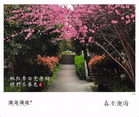 臻藏一園春色賞景不用去遠方 壹讀