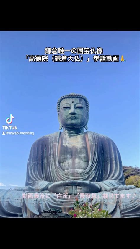 Matsuyamayubiwayasan 神奈川県鎌倉市鎮座「高徳院（鎌倉大仏）」参詣動画🙏 鎌倉大仏 高徳院 鎌倉旅行 神奈川