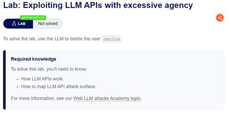 Exploiting Llm Apis With Excessive Agency Writeup Cyberhubes