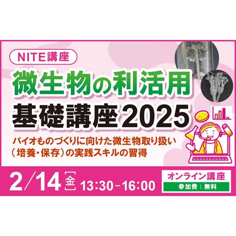 全固体電池の試験を企業と共同で初めて実施 独立行政法人製品評価技術基盤機構
