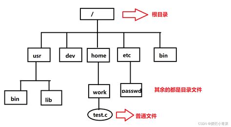 初识linuxlinux基本指令一liunx只能用非图形化操作吗 Csdn博客