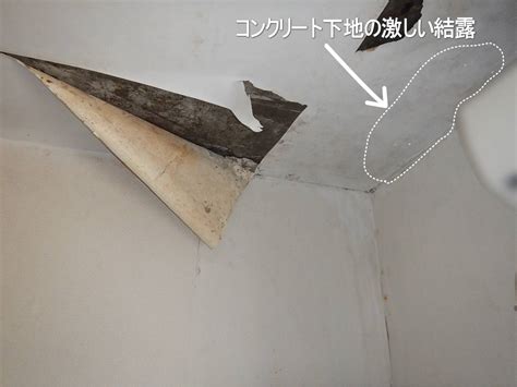 東京の天井コンクリート下地壁紙結露カビは止められる ブログ 埼玉の防カビ工事なら「有限会社プレモ」