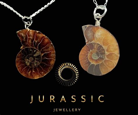 Ian Barrett On Linkedin Silversmith Ammonite Ammonitejewellery