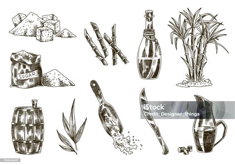 지팡이 설탕 사탕수수 식물의 제품 세트 조각 손 그린 천연 유기농 음식과 천연 재료 신선한 압착 사탕수수 힙과 큐브에 설탕 대나무와 럼 사탕수수에 대한 스톡 벡터 아트 및