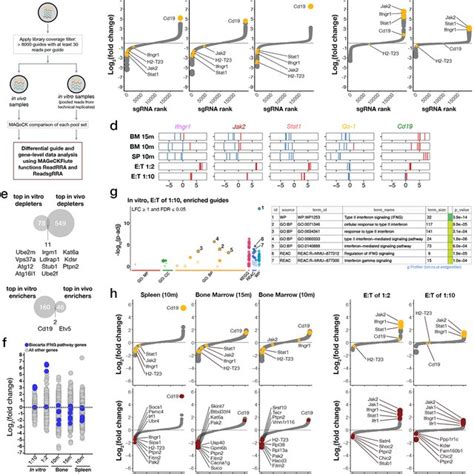 In Vivo Genome Wide Primary And Subsequent Validation Download
