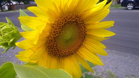 Assignment1 All Flickr