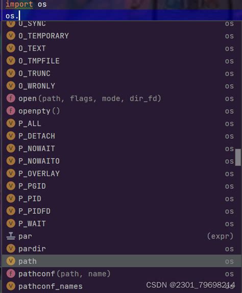 Python 最常用的标准库之一 os pythonos库 csdn CSDN博客