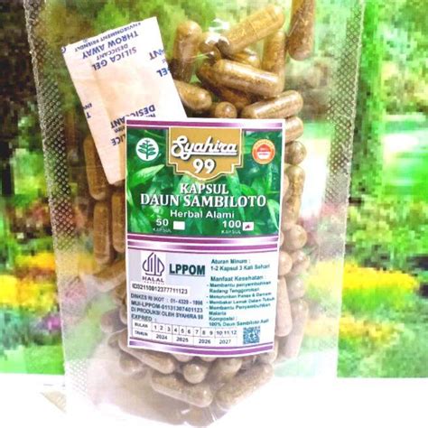 kapsul daun sambiloto sambiroto isi 100 kapsul lazada indonesia