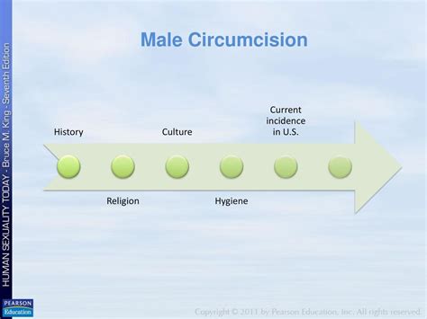 Our Sexual And Reproductive Anatomy Ppt Download
