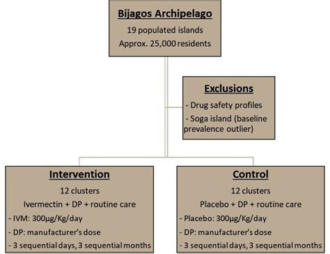 Protocol For A Cluster Randomised Placebo Controlled Trial Of