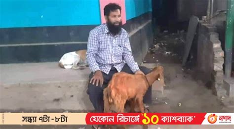 বিচার চাইতে ছাগল নিয়ে থানায় খামারি