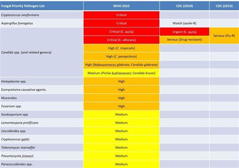 Who Releases Its Fungal Priority Pathogen List Ppl • Amrsolutions