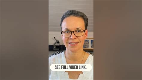 Exponential Functions Shorts Youtube