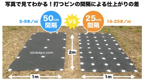 防草シート固定ピン種類間隔打ち方必要本数をプロが写真解説