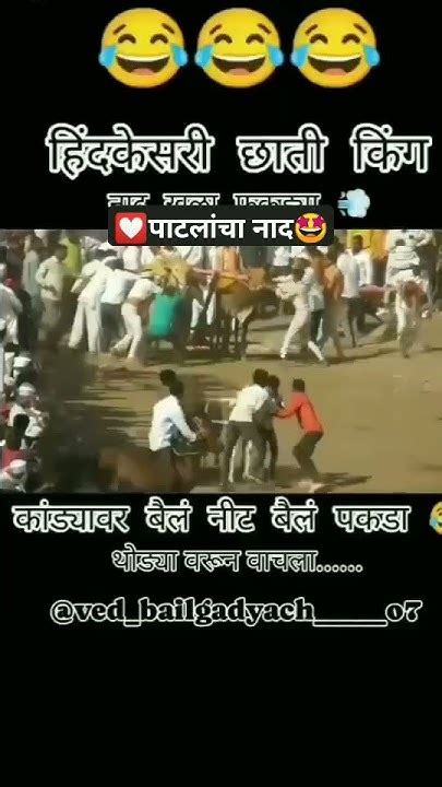 🤩आदत छातीकिंग😆व घोडीस्वार🤣🤣 Bailgada Sharyat Bailgadasharyat Final