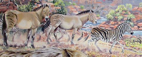 New Discovery Fossilised Giant Zebra Tracks Found In South Africa