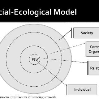 Theoretical Framework Graphic Download Scientific Diagram