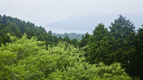 人と自然がつながる場所ニコライ バーグマン 箱根 ガーデンズへ LEXUS NEWS