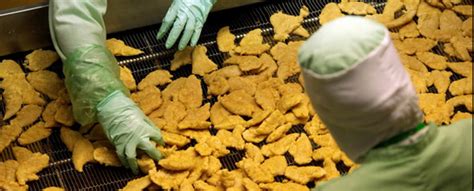 Chicken Processing Hollywood Progressive