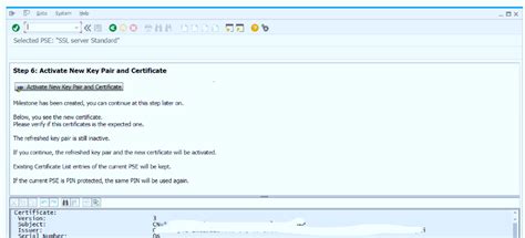 sap abap central simple way to renew nw abap ssl certificate with strust replacement wizard