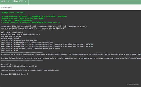 anolisos 外传二： 在oracle 云安装并使用anolis系统 oracle cloud shell 在哪 csdn博客