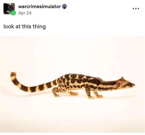 Creature Rule R196