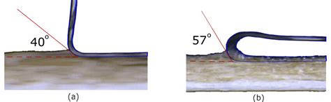 Root Rotations From Experiments 8 A θ 90 • And B θ 180 • Download Scientific Diagram