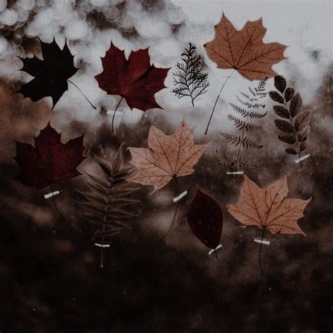 Pin Af Dreamer ☁️ På Aesthetic Seasons And Holidays