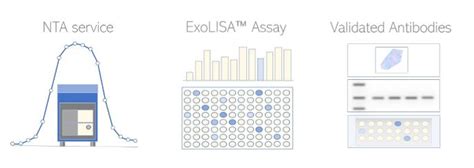 The “boom” Of Exosomes And Their Biomedical Applications