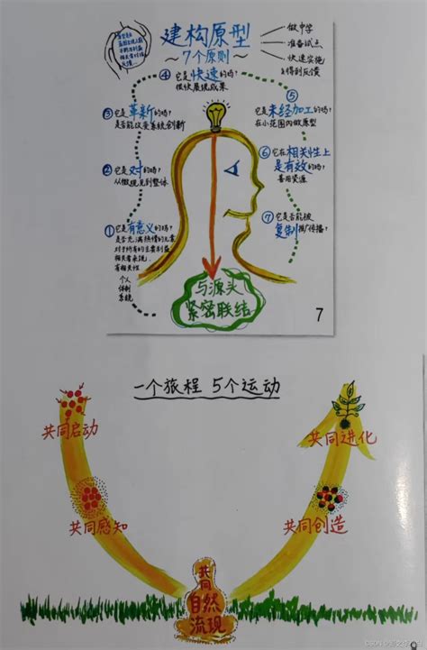 《u型理论》速读笔记 u型理论感知正在生成的未来读书笔记 csdn博客