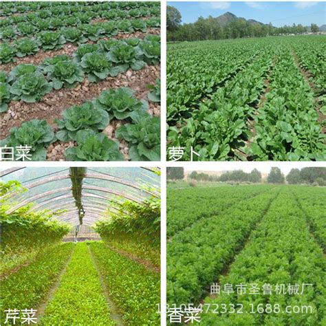 菠菜小颗粒种子精播机 一穴一粒娃娃菜播种机 小粒菜籽播种机 阿里巴巴