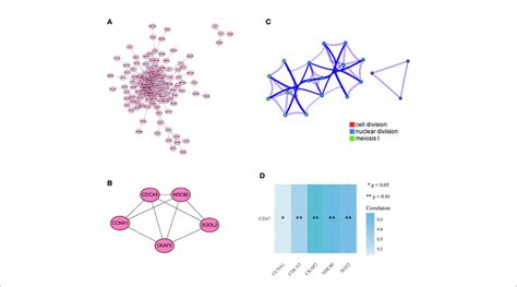 selection of key gene modules a ppi network of overlapping genes