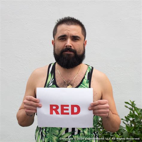 Backpack Harness Leatherwerks