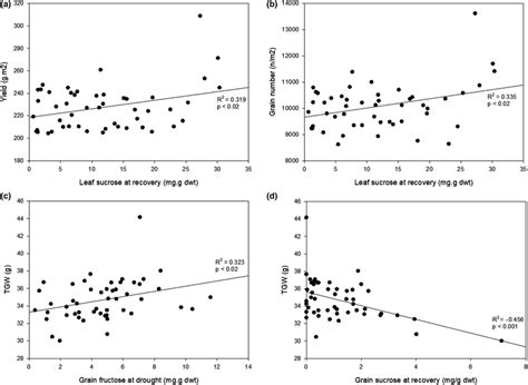 Relationship Between Yield Components And Sugars During Drought And